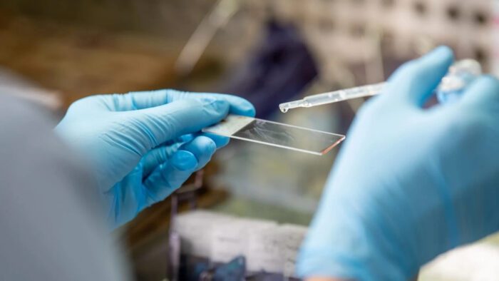 Todo sobre el VPH: Tu Guía Completa de Prevención y Tratamiento - IPOR